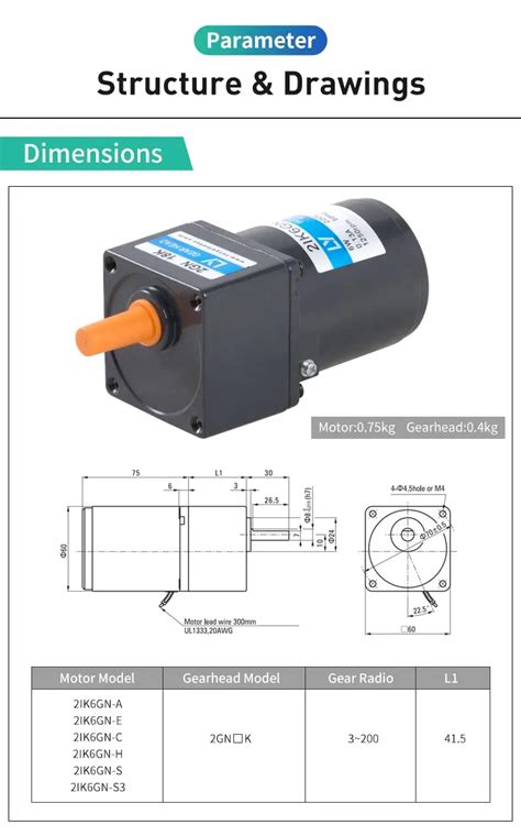 6w Ac Induction Motor