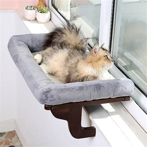 8 Best Cat Window Seats Of 2026