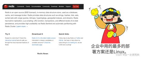 分布式文件存储与数据缓存 redis高可用分布式实践（上） 文件存储高可用 csdn博客