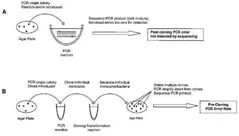 Strategy For Determining Mutational Burden Attributable To Pcr Error