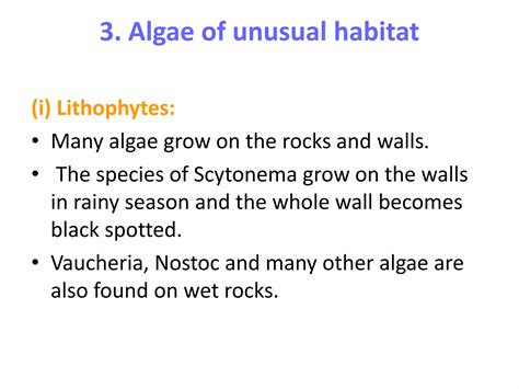 Habitat And Habit Of Algae Pptx