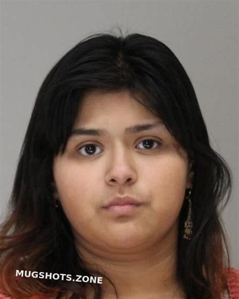 Arreguin Hillary 02022025 Dallas County Mugshots Zone