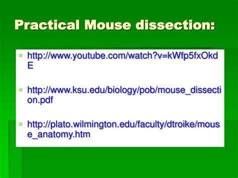 Ppt Mouse Dissection Powerpoint Presentation Free Download Id6032514