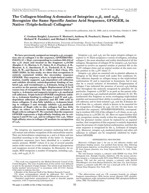 Pdf The Collagen Binding A Domains Of Integrins 1 1 And 2 1recognize