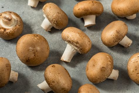 Complete Guide To Cremini Mushrooms Grocycle