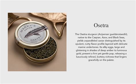 Markys Osetra Sturgeon Black Caviar 1 Oz 28 G