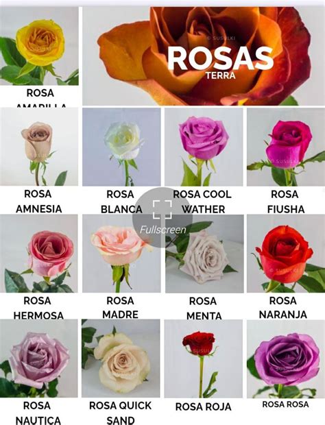 Pin De Maggie Rodriguez En Flores🌸🍀🌷 Jardineria Y Plantas Flores