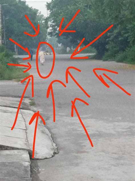 Baapu Spotted Kya Krun Inka Rmandirgang