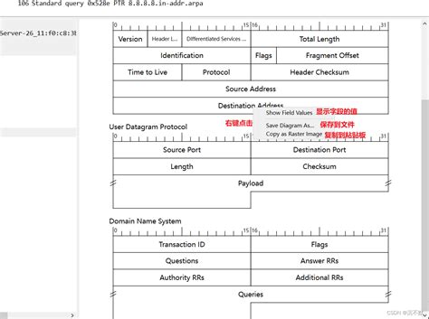 wireshark 4 0 0 正式版本新功能 可显示捕获数据包的网络协议报文格式（packet diagram）分组图 wireshark4