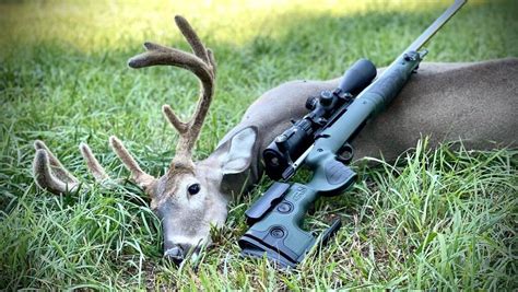 Grs Bifrost Stock Remington 700 Bd Grs104120