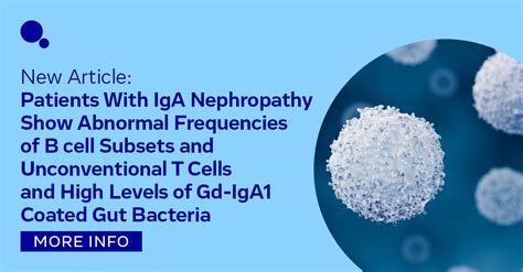 Immunoglobulin A High Defining The Features And Duration Of Antibody
