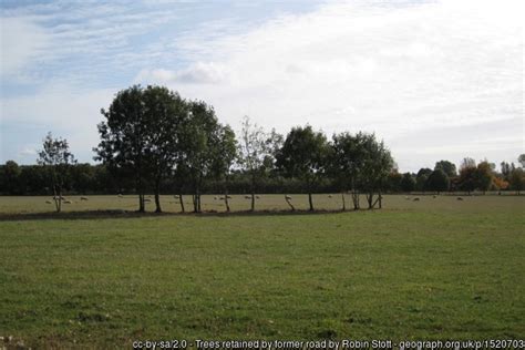 Nicholas Brome And The Three Murders Part Two Wheaton Wood