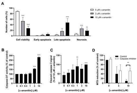 Unraveling Hematotoxicity Of α Amanitin In Cultured Hematopoietic Cells