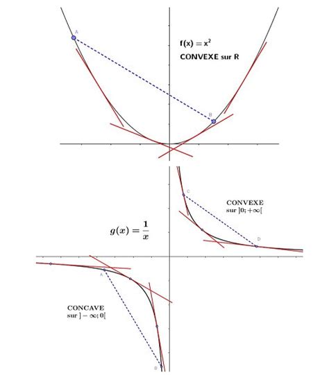 Approche Graphique De La Convexité Dune Fonction Digischool