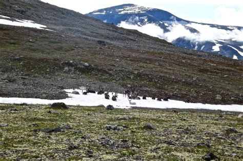 Le Parc National De Jotunheimen En Norvège Que Voir Et Faire