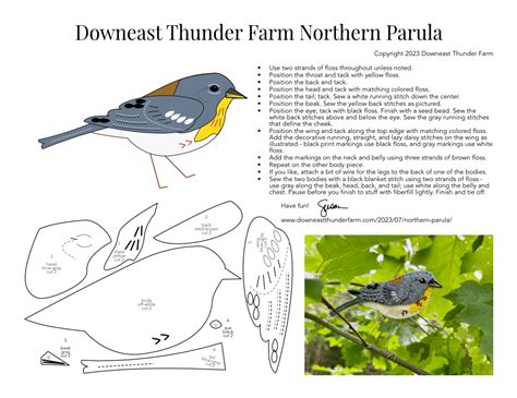 The Nimble Northern Parula Downeast Thunder Farm