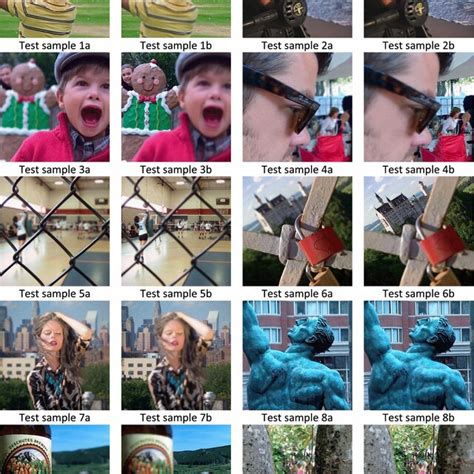 Ten Test Samples Of Multi Focus Images Download Scientific Diagram