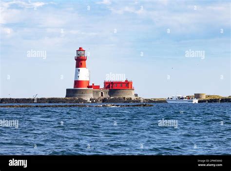 Farne Islands Uk Phare De Longstone Sur Les îles Farne Avec Des Visiteurs Sur Un Bateau