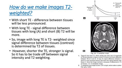 Mri Basic Principles Pptx