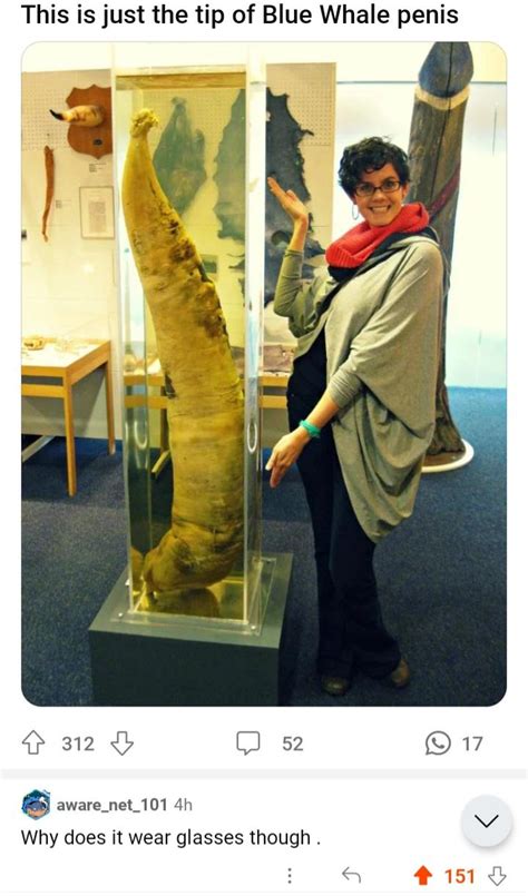 Cursed Teletubbies Rcursedcomments