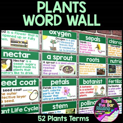 Plants Unit Word Wall Posters Parts Of A Plant Flashcards 52 Vocabulary Terms