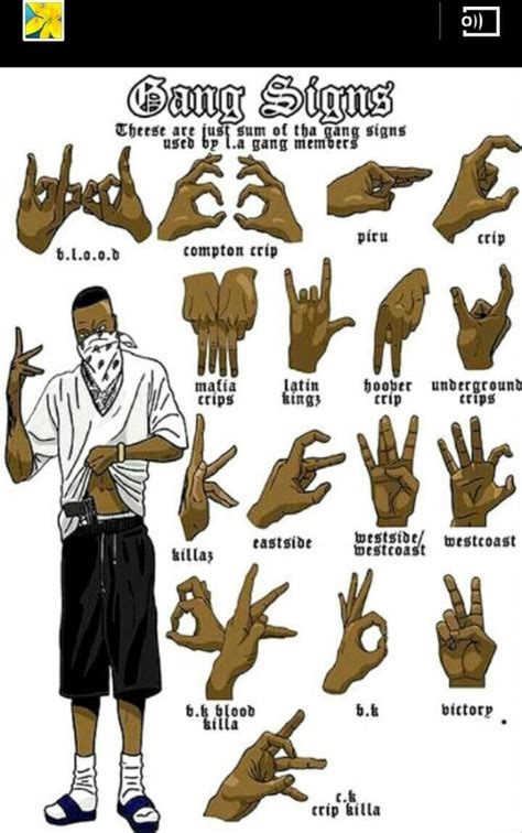 Of Signs Crip Pitu Crip Compton Crip Hoover Underground Crip Crips We