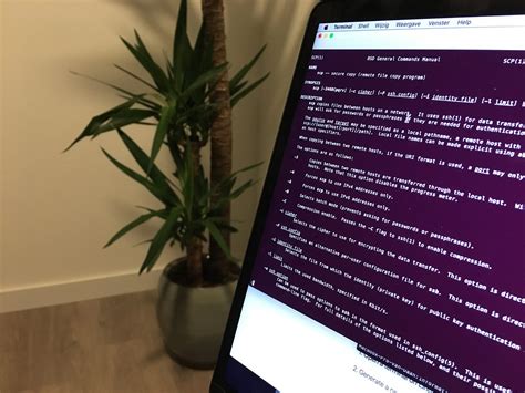 advanced cli commands you should know as a developer by daan