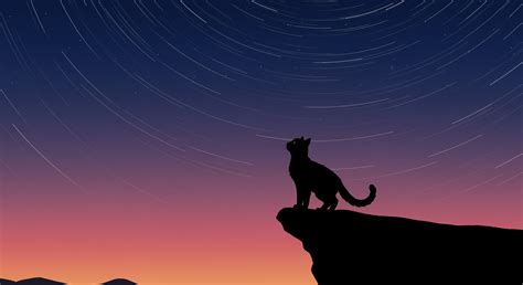 Cat Maker Basedlabs Basedlabsai Ai Video Powerhouse And Community