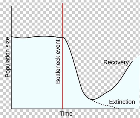 Founder Effect Graph