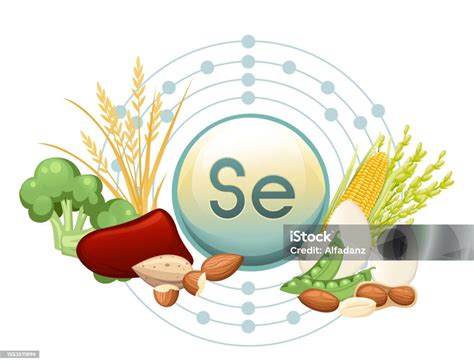 Selenium Capsule With Molecular Structure And The Products In Which It Is Contained Vector