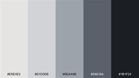 Platinum Color Palette Ideas 21 Picks Hex