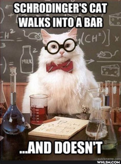 Schrodinger Cat Intoa Bar And Doesnt Whlsm