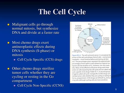 Ppt Anesthetic Considerations For Chemo Patients Powerpoint Presentation Id 1064967