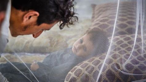 Projects United Nations Development Programme