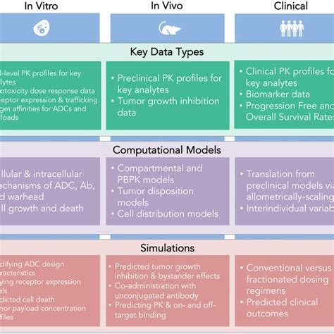 structure and key considerations for qsp modeling of adcs during qsp