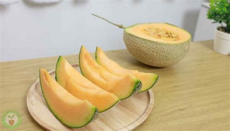 How To Ripen A Honeydew Melon At Home Expert Tips
