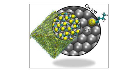 Reaxff Simulations Of Self Assembled Monolayers On Silver Surfaces And Nanocrystals The
