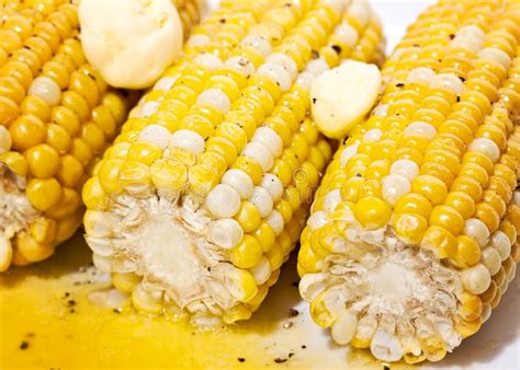 Cooked Corn On The Cob Stock Image Image Of Sweet Healthy 129619179