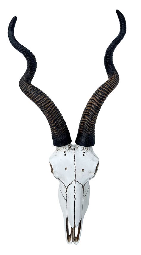 Kudu Skull Mount