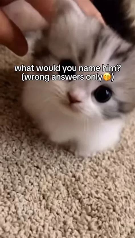 Game Jolt Share Your Creations