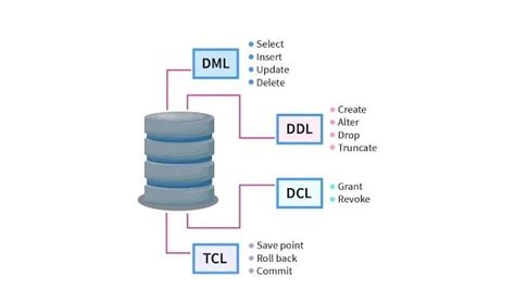 Salma Adel On Linkedin Ddl Dml Dcl Db Dbms Rdbms Sql Sqlserver Dbadminstration