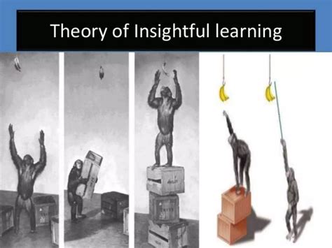 Kohler Insightful Learning Theory Pptx