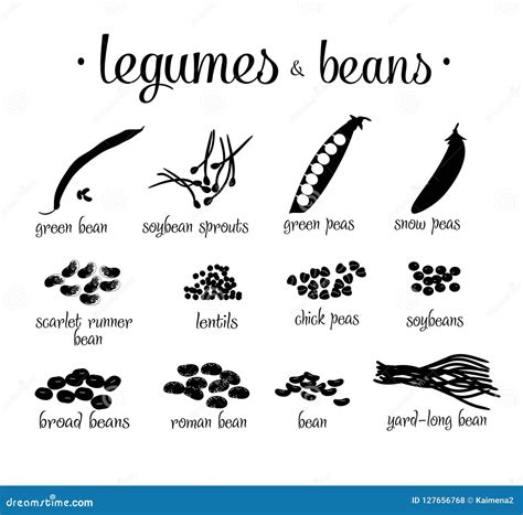 Set Of Different Legumes Cartoon Vector CartoonDealer 45235209
