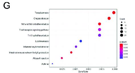 Single Gene Analysis Of Hif1a Based On Chronic Lymphocytic Leukemia