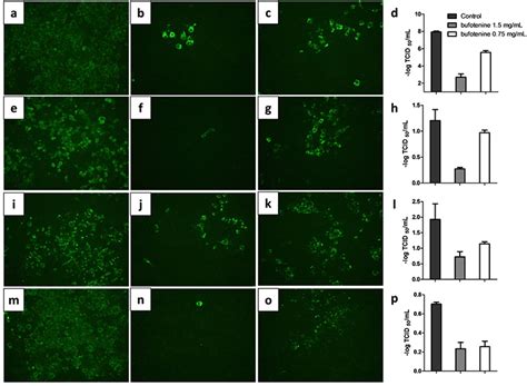 Bufotenine A Tryptophan Derived Alkaloid Suppresses The Symptoms And