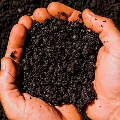 Powder Vermicompost Fertilizer Packet 5 Kg At ₹ 240kg In Bhopal Id 2855360830612