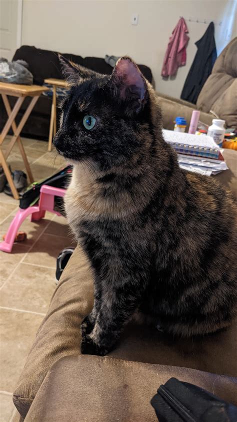 She Loves Watching Me Game Rtorties