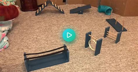 My Pet Rat Donut Trying Out Some New Agility Props Album On Imgur