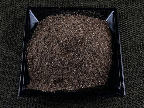 Barbus Black Groundbait Trent Baits