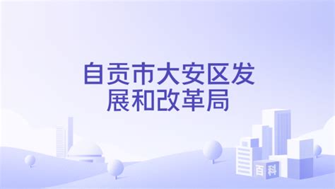 自贡市大安区发展和改革局百度百科